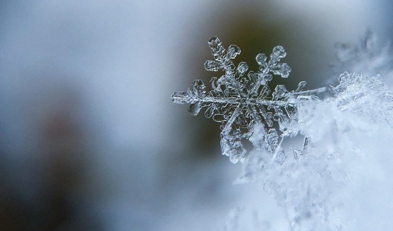 ¿Cómo se forman los copos de nieve? - Cultura y Ciencia