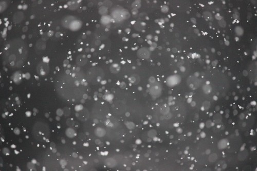 ¿Cómo se forman los copos de nieve? - Cultura y Ciencia